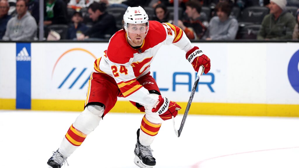 Neuer Flügelstürmer für die WILD WINGS – Schwenninger Wild Wings